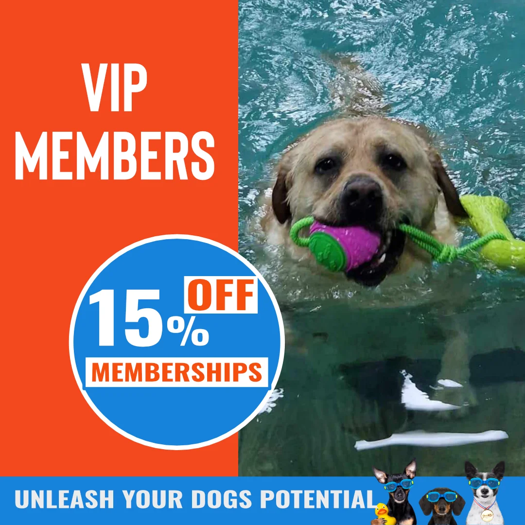 Private Membership - SPLASH DOG